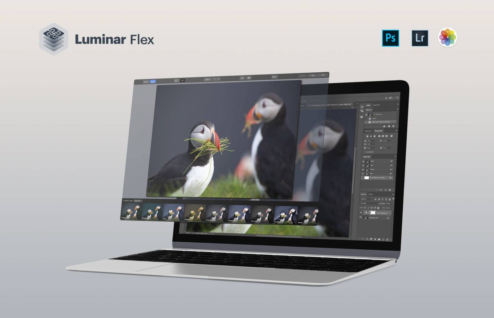 Luminar ai plugin lightroom - jnrislamic