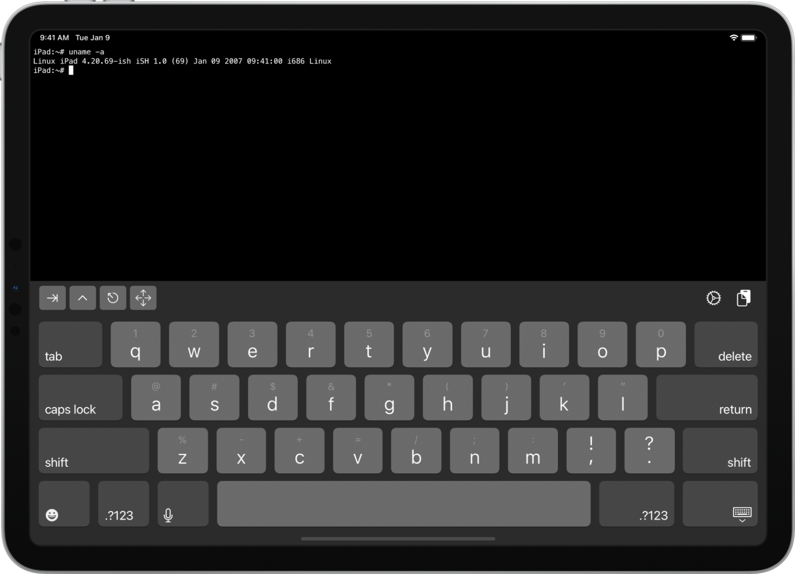 iSH Shell permette di avere una shell Linux su iPad e iPhone - macitynet.it